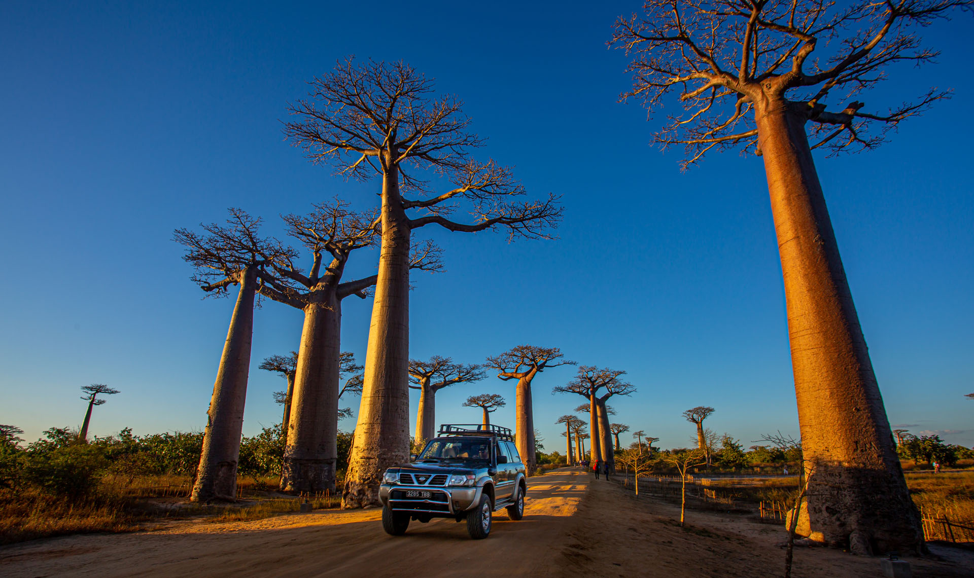 Madagascar – Endemic Wildlife and Landscape Photo Tour | Photography ...