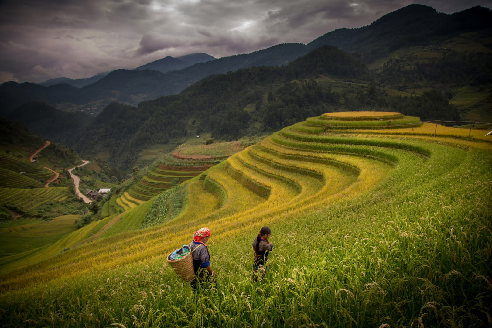 Landscapes of Vietnam - Photography Tours and Travel